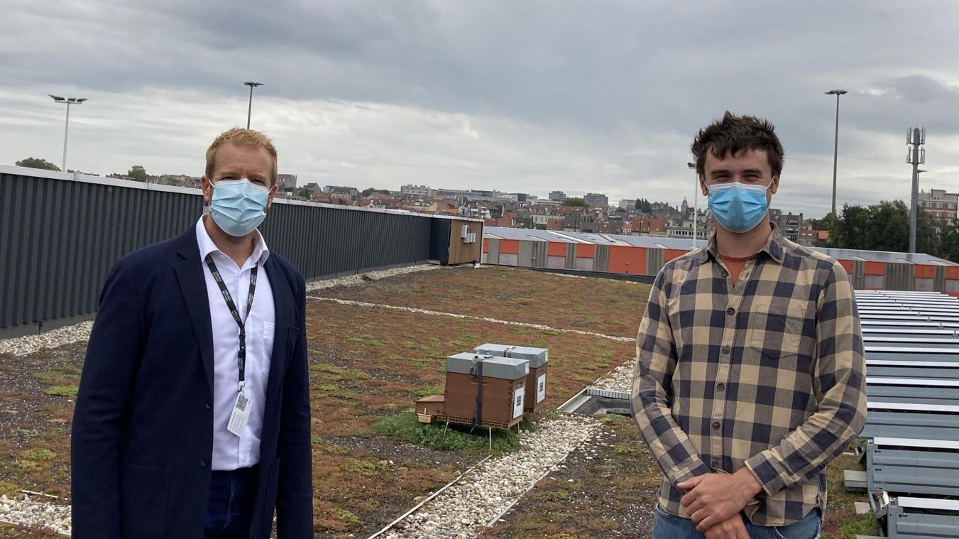 BeeOdiversity : la biodiversité comme solution - AIVP