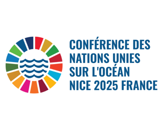 Third United Nations Ocean Conference Nice 2025 - AIVP